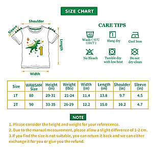 1st Birthday Boy Shirt Dinosaur Birthday T-Shirt 1 Year Old Toddler Dinosaur Outfit Cotton White Dino Party Shirt Roar I’m 1 Short Sleeve Top Tee Toddler One Rex T Shirt for Kids