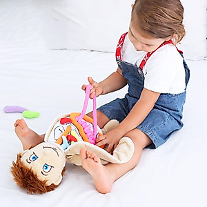Organ Toy for Kids, Human Body Anatomy Awareness Teaching Tools, Preschool Educational Organ Plush Toys, Science Learning Kits for Home School Teaching Aids (Organ Toys)