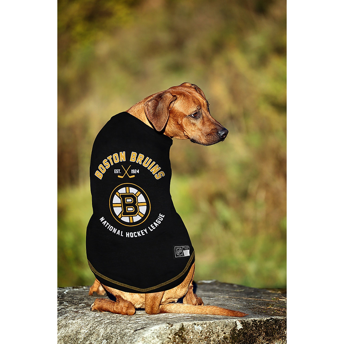 NHL BOSTON BRUINS Tee Shirt for DOGS & CATS, Small. - Are you a HOCKEY FAN? Let your Pet be an NHL FAN too!