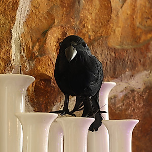 ATDAWN Halloween Birds, Black Feathered Crows, Realistic Looking Halloween Decoration Birds (6.7")