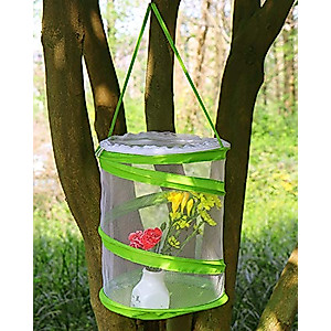 RESTCLOUD Pop-up Insect and Butterfly Habitat Cage Terrarium Clear Mesh Enclosure, See Through Easier 9" x 11" Tall