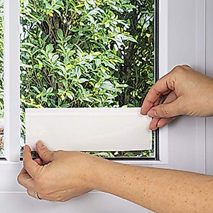 Black Flag Window Fly Trap, Transparent Glue Traps 4 Count