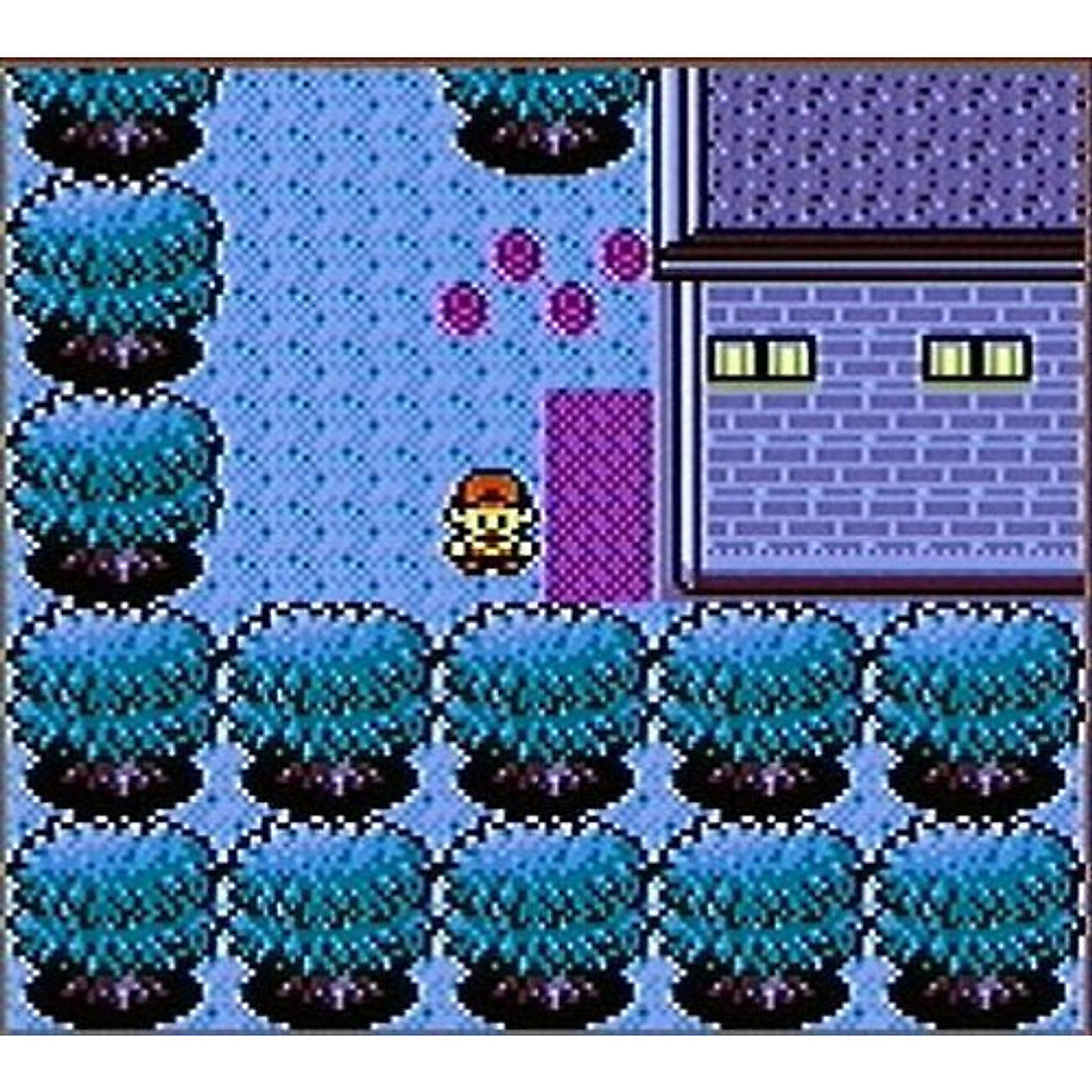 Pokemon Gold Version (Renewed)