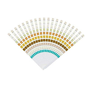 Health Test Strips (100pcs Urine Test Strips)