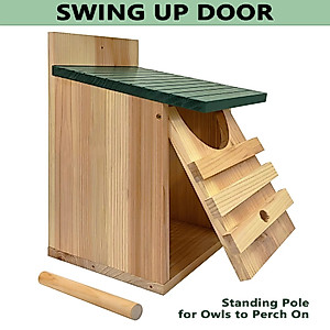 Prolee Screech Owl House Hand Made, 100% Cedar Wood Owl Box with Mounting Screws and A Bag of Wood Shavings, Easy Assembly Required (with Bird Stand)