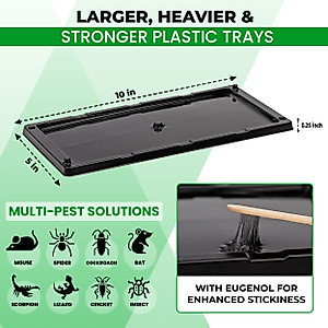 T3-R Sticky Traps for Bugs Extra Large (12 Pack) - Mouse and Insect Glue Boards - Disposable Non-Toxic Glue Traps for Mice and Rats - Extra Strength Sticky Glue Traps for Rodent