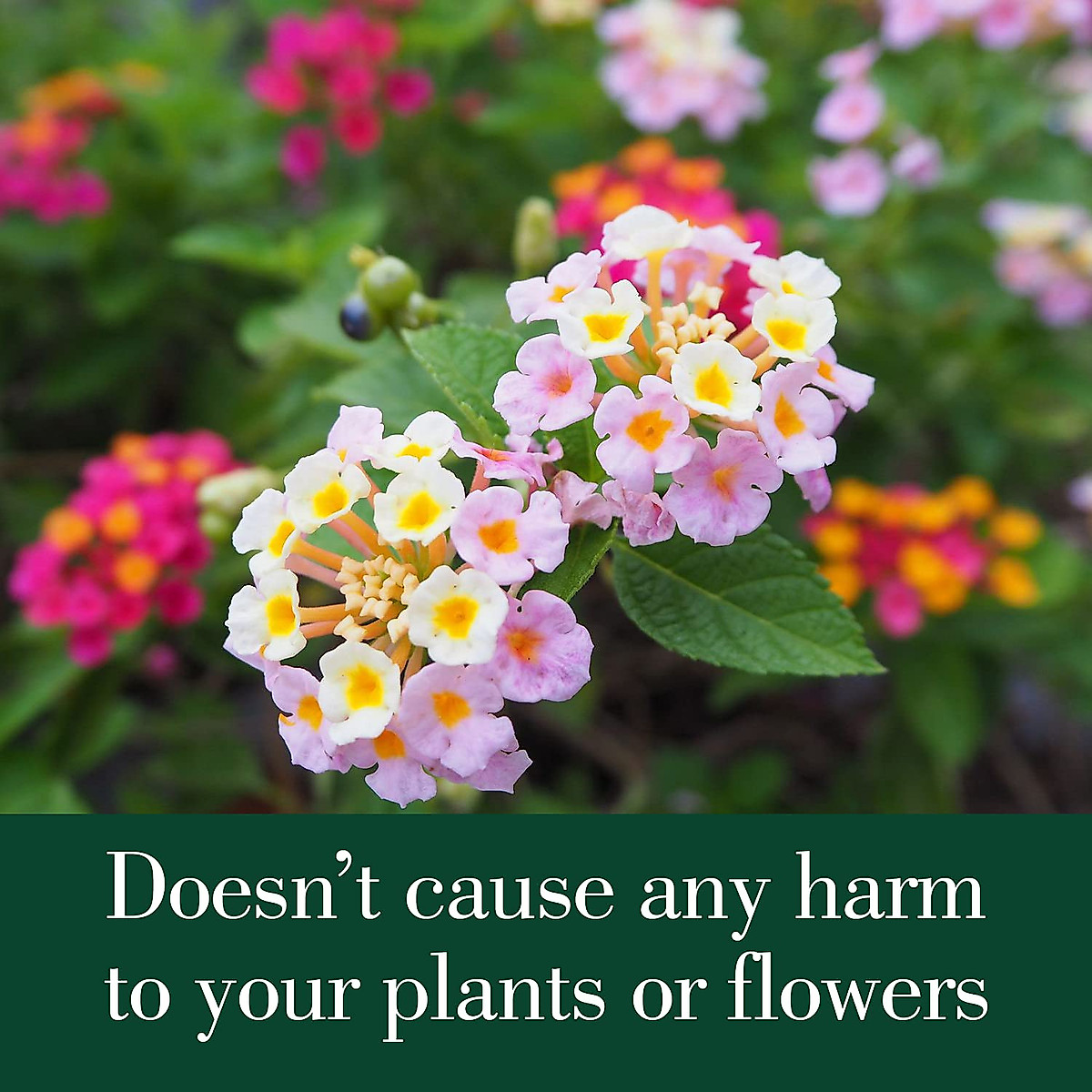 DALEN Gardeneer Plastic Fence for Garden Edging, Lightweight Fencing Role for Yards and Gardens, Protective Barrier for Plants, Flowers, Lawn, Rabbits, Chicken, Poultry, Dogs, and Other Pests