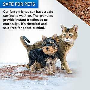 Safe Paw & Traction Magic Walk on Ice Combo for Instant Grip and Ice Melt, Child Plant Dog Paw & Pet Safe, Vet Approved, Non-Toxic, 100% Salt & Chloride Free (2 Jug + 1 Walk on Ice Combo)