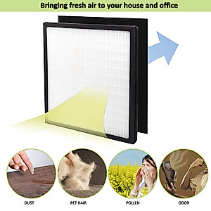 Hedday Air Purifier Filter D Compatible with Idylis IAP-10-280,1AP10280, AC-2118, AC-2123,Replace for IAF-H-100D(2 HEPA Filters & 2 Carbon Filters)