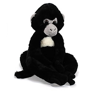The Petting Zoo Spider Monkey Stuffed Animal Plushie, Gifts for Kids, Wild Onez Zoo Animals, Monkey Plush Toy, 12 inches