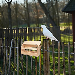 HANABASS Window Bird Feeder Window Bird Feeder Window Bird Feeder Pigeon Feeding Trough Wooden Pigeon Feeder Multi- Hole Pigeon Dish Dispenser Birds Feeding Dispenser Chicken Feeder Quail Cage