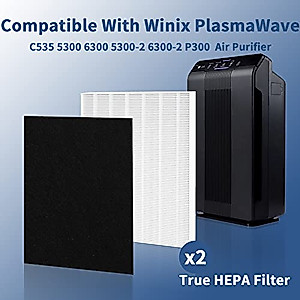 115115 HEPA Replacement Filter A for Winix PlasmaWave Air Purifier C535, 5300, 6300, 5300-2, 6300-2, P300, 2 Pack True HEPA Size 21 Filter