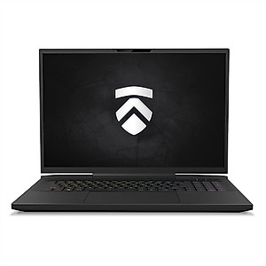 Eluktronics MECH 17 GP2 RTX 4090 Gaming Laptop: Intel Core i9-13900HX, 17" 16:10 240Hz QHD G-SYNC Panel, Cherry MX Mechanical Keyboard, 99.8WHr Battery, Thunderbolt 4, 2TB Gen 4 SSD, 64GB DDR5 RAM