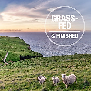 Feline Natural Grain-Free Freeze-Dried Cat Food, Beef 11oz