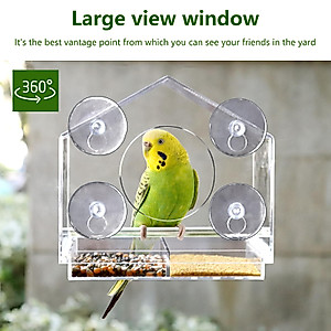 XTKS Bird Feeder, Hanging Bird Seed Feeder, Bird Feeding Station Outdoor Window Bird Feeder with Ultra-Strong Suction Cups - Perfect for Attracting Cardinals, Finches, Chickadees