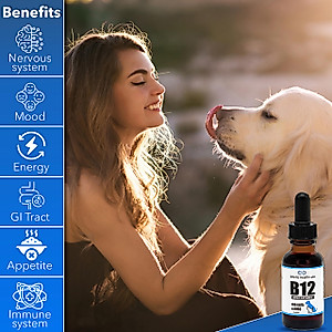 Liquid Vitamin B-12 for Dogs and Cats - Vet Formulated - Effective for All Animals Methylcobalamin (Methyl B12) - Energy, Appetite and Mood - Made in USA