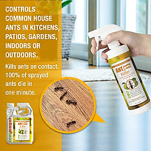 EcoVenger Ant Killer & Crawling Insect Killer (Citrus Scent) 16 OZ, Kills Fast in Minutes, Also Kills Spiders, Centipedes & More, Repels with Residual, Natural & Non-Toxic, Children & Pets Safe…