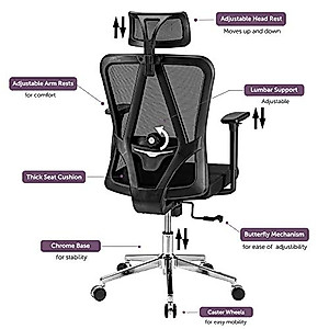 Halter Ergonomic Office Chair with Lumbar Support, Executive Mesh Desk Chair Computer Chair with Swivel, Headrest, and Armrests, Height Adjustable Comfortable Task Chair with Rolling Casters, Black