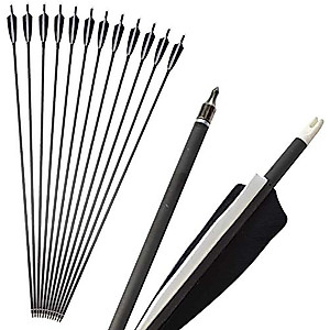 SHARROW 6/12 PCS Carbon Arrow 34 Inch Archery Arrow Spine 500 Turkey Feather Practice and Hunting Arrows with Removable Tips for Compound Bow and Recurve Bow