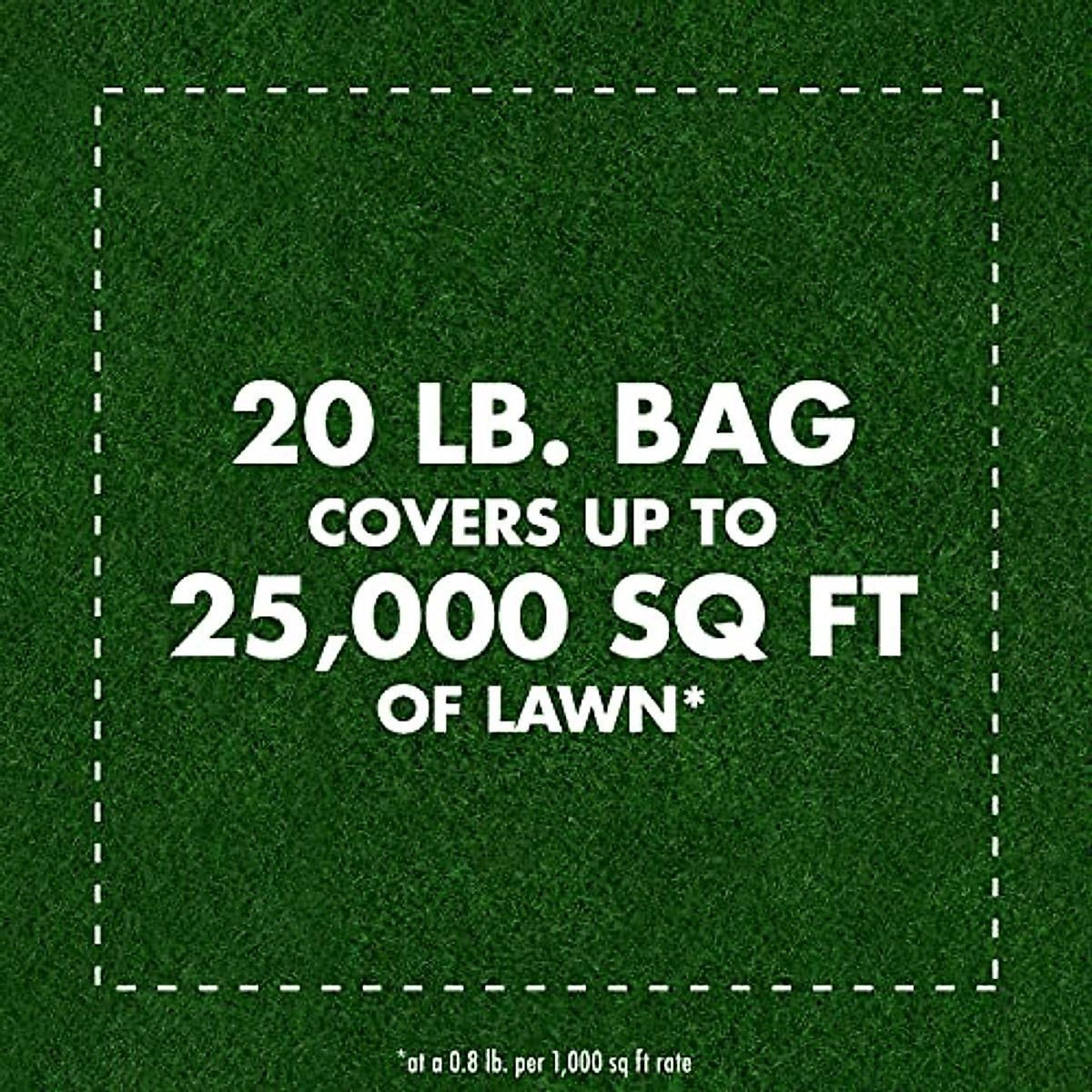 SpectracideTriazicide Insect Killer for Lawns Granules 20 lb, 1-PK