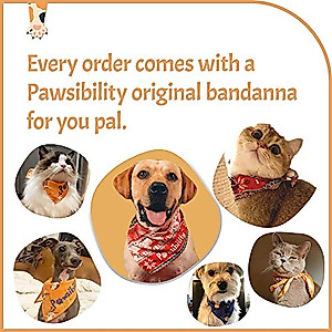 Pawsibility - Reinvented Pet Nail Clippers for Your Pal - Ultra Bright LED Light for Bloodline | Razor Sharp and Durable Blade | Vets Recommended Trimming Tool for Dogs and Cats