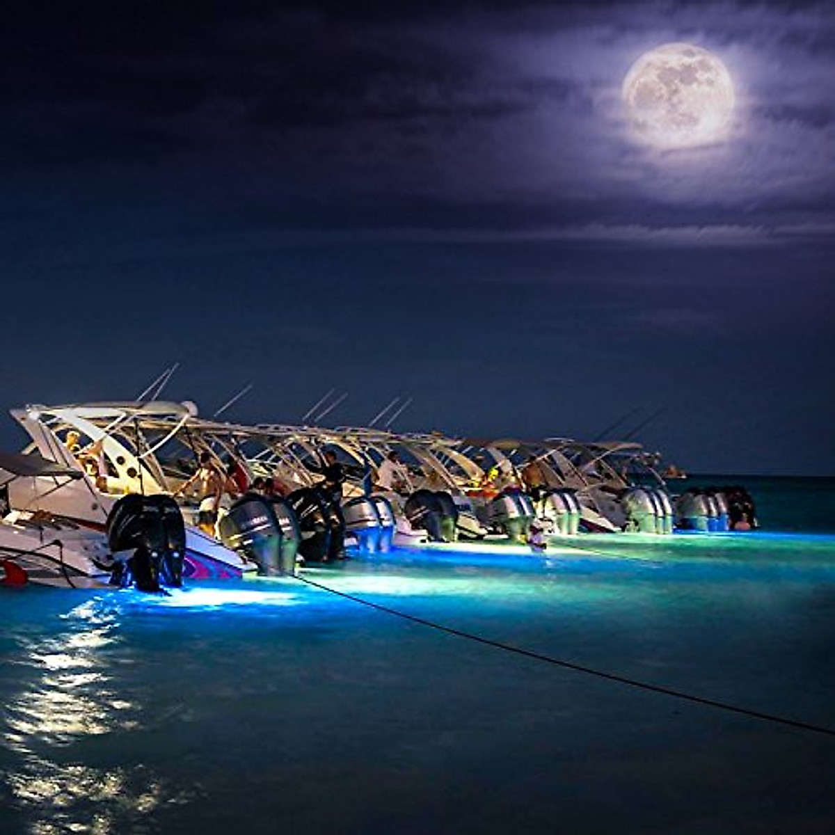 Lumitec Lighting 101511, LED Underwater Light, SeaBlaze Quattro Underwater Light, Dual Color White / Blue