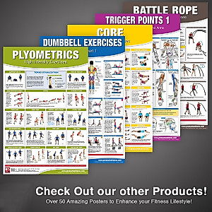 Treadmill Poster/Chart Laminated; How to Run on a Treadmill - Treadmill Safety - Treadmill Workout - Treadmill Instructions - Indoor Running - Walking ... safety - How to use the Treadmill in your Gym