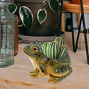 Hemoton Frog Planter, Ceramic Frog Shaped Plant Pot/Bonsai Pot/Flower Pot/Succulent Planter Multipurpose Pot for Indoor Home Desk Decoration