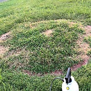 Natural Elements Weed Killer | Pet Safe, Safe Around Children | Natural Herbicide (1 Gallon)