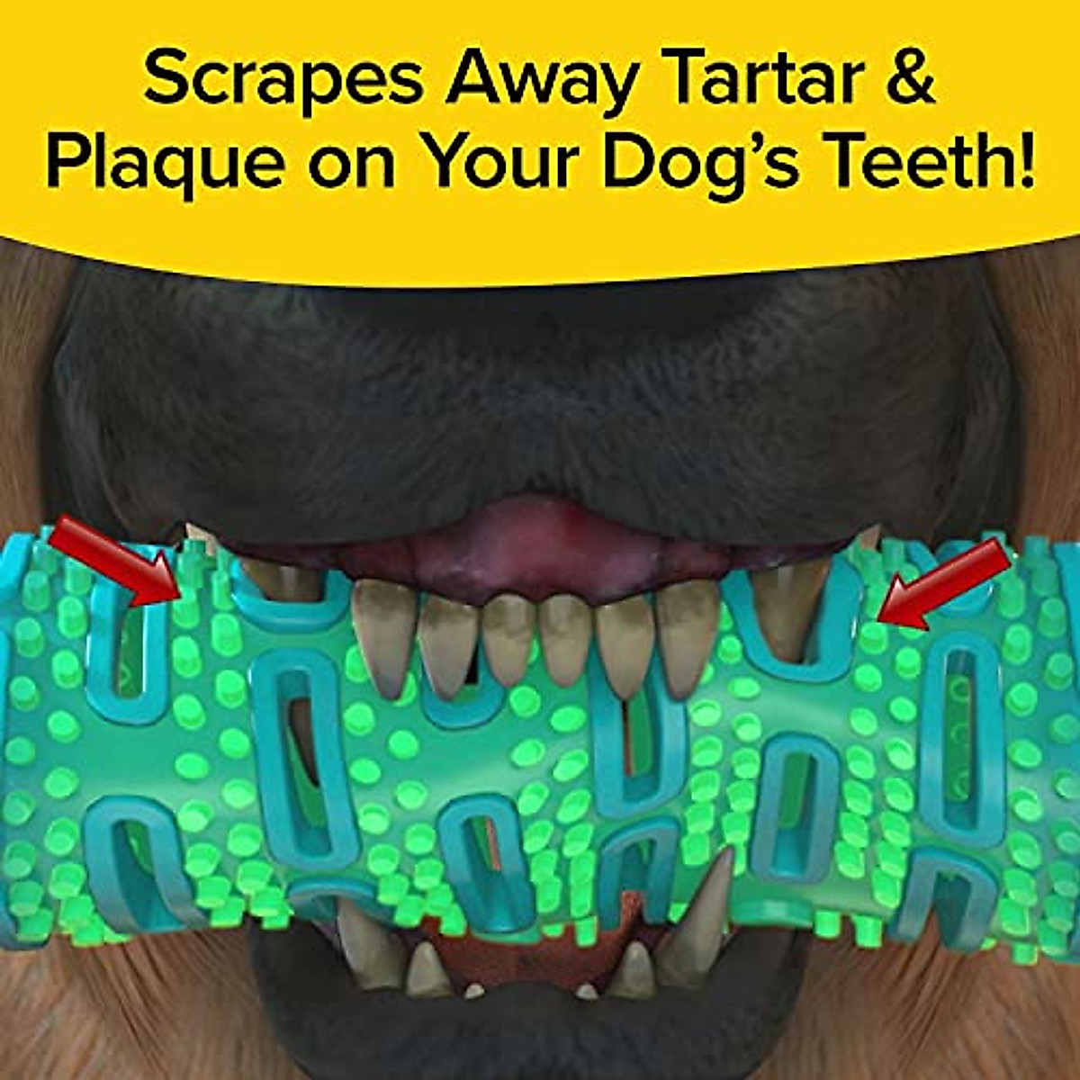 BulbHead BrushBone Toothbrush, Dogs Chewing, Plaque and Tartar Remover for Teeth, Works 3 Ways to Clean While They Play, Invented by a Dentist & His Hygienist Wife, 1 Count (Pack of 1), Brush Bone