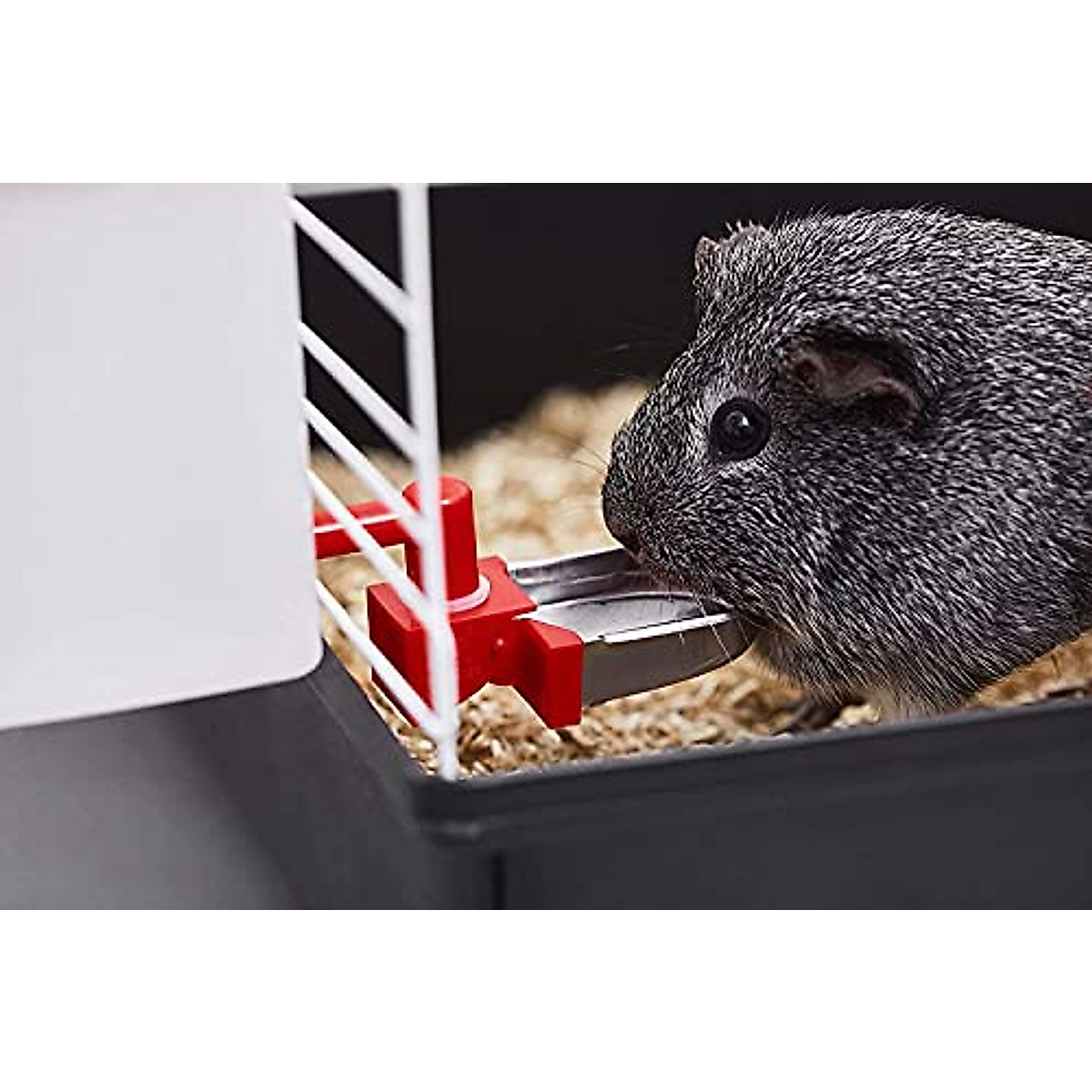 No-Drip 32 Oz Small Animal Drinking Bottle with Metal Cup for Small Pet/Bunny/Ferret/Hamster/Guinea Pig/Rabbit/Chinchilla/Mouse/Rat. BPA-Free.