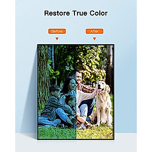 E-Z Ink (TM Printer Cleaning Kit|Printhead Cleaning Kit|for HP/Epson/Canon/Brother Inkjet Printers WF-7710 WF-3640 7620 8600 8610 8620 WF-2750 WF-2650 ET-2750 ET-2650 Liquid Printers Nozzle (100ml)