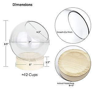 CYS EXCEL Glass Terrarium Candle Holder Bubble Bowl with Wood Base (H:8" W:6.5") | Unique Fish Bowl Aquarium with Wooden Stand | Plant Bubble Dome | Candy Bowl Storage Container