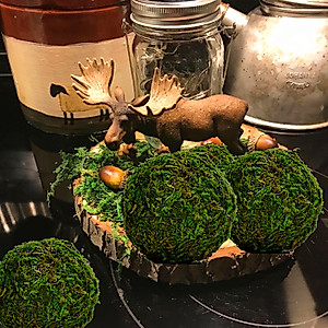 BYHER Natural Green Moss Decorative Ball,Handmade (3.5"-Set of 6)