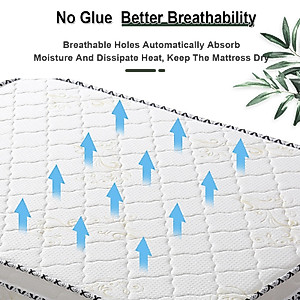 Enchantia 3.2in Coir Mattress, Natural 3E Coconut Firm Mattress Contains 6cm Coconut Palm Inner Core, Moderately Soft and Hard, Seamless Foldable Mattress for All Ages Queen Mattress