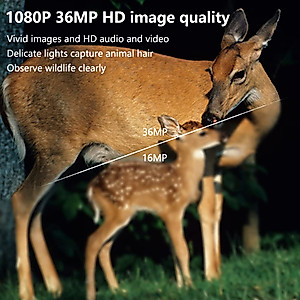 Trail Camera,2 pack 36MP 1080P Mini Trail Camera,Hunting Camera with 120°Wide-Angle 0.2s Trigger Speed,No Glow Night Vision Motion Activated IP67 Waterproof with 32GB Card for Wildlife Scouting