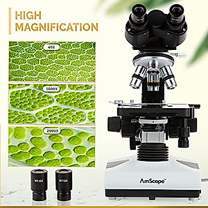 AmScope B490B Compound Binocular Microscope, WF10x and WF20x Eyepieces, 40X-2000X Magnification, Brightfield, Halogen Illumination, Abbe Condenser, Double-Layer Mechanical Stage, Sliding Head, High-Resolution Optics, Anti-Mold , White