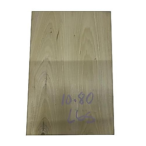 Generic Premium Poplar Guitar Body Blanks 2 Piece Glued - 21 inch x 14 inch x 2 inch