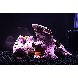ALEGI Aquarium Tree Stump Hole for Betta Fish Toys,Rock Cave Cichlid Stone Betta Fish Accessories 10, 20 Gallon Fish Tank Decorations, Aquarium Rocks Decor
