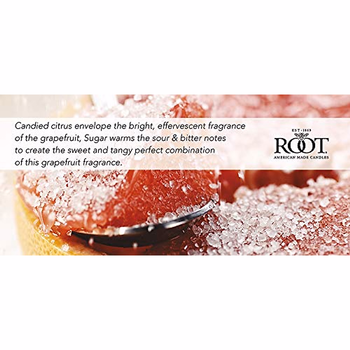 Root Candles Honeycomb Beeswax Blend Scented Candle, 12-Ounce, Sugared Grapefruit