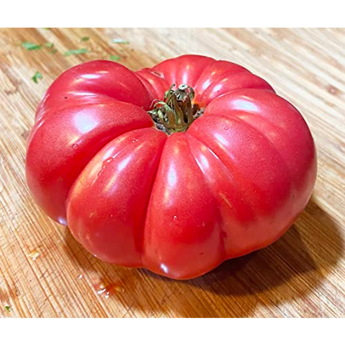 EarlyBirdSpecial! Beefsteak Tomato Seeds for Planting Vegetables and Fruits.Heirloom Tomato Vegetable Seeds for Planting Home Garden & Hydroponics Seed Pods-50ct Beefsteak Tomato Plants Seeds