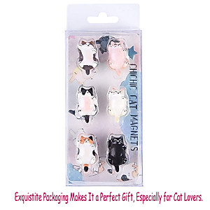 CHICHIC 6 Pack Fun Cat Refrigerator Magnets Office Magnet, Kitchen Decor Fridge Cat Ornament, Perfect for Whiteboard, Refrigerator, Map, Notes, Calendar, Gift for Lady Cats Lovers Novelty Butt