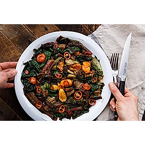 GINSU Chikara Series 4-Piece Forged 4.5" Steak Knife Set - Premium 420J Stainless Steel Kitchen Knife