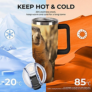 JTKBNVM Hand Drawn Groundhog Car Tumbler Travel Coffee Mug 40 Oz Tumbler with Handle And Straw Lid Large Insulated Mug Stainless Steel Water Bottle Large Capacity Car Cup