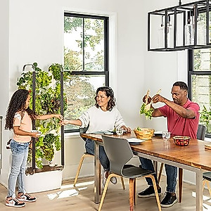 Gardyn 3.0 Hydroponics Growing System & Vertical Garden Planter - Includes 30 Non-GMO Indoor Plants, Herbs & Vegetables for Your Home Indoor Gardening System | Next Generation of Indoor Smart Gardens