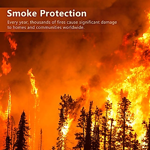 Vital 100S Toxin Absorber Replacement Filter for LEVOIT Vital 100S Smart WiFi Air Puri-fier, True 4-in-1 HEPA and High-Efficiency Activated Carbon Filter, Vital 100S-RF-TX (LRF-V102-GUS), 2Pack, Green