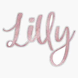 Lilly Pink Watercolor Bumper Sticker Vinyl Decal 5"