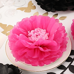 Fonder Mols Tissue Paper Flowers Pom Poms Blooms(Black & Hot Pink, 12pcs) for Bridal Shower Bachelorette Birthday Party Nursery Wall Decorations, Hot Pink and Black Party Decorations