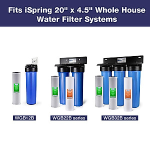 iSpring FC25BX2 High Capacity 20” x 4.5” Water Filter Replacement Cartridges - CTO Carbon Block - Fits Standard 20” x 4.5” Whole House Water Filter Systems - Reducing up to 99% Chlorine - Pack of 2