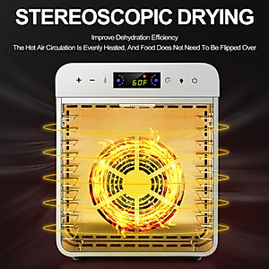 SEASAND Food Dehydrator Machine | 10 Stainless Steel Trays, Ozone Deodorization, Independently Control Temperature And Time, Rear-Mounted Fan, 24 Hours Timer - Max Temperature 194℉